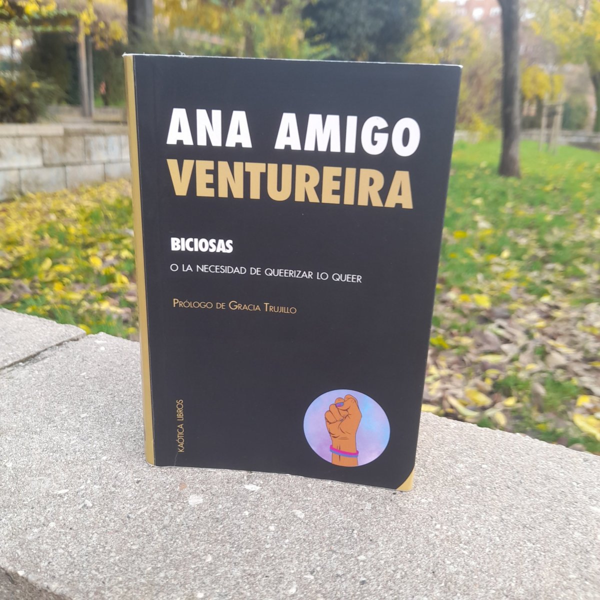 El gesto más radical: biciosas o la necesidad de queerizar lo queer con ...